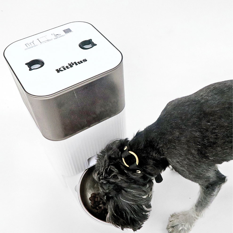 KITPLUS Smart Feed Automatic Pet Feeder